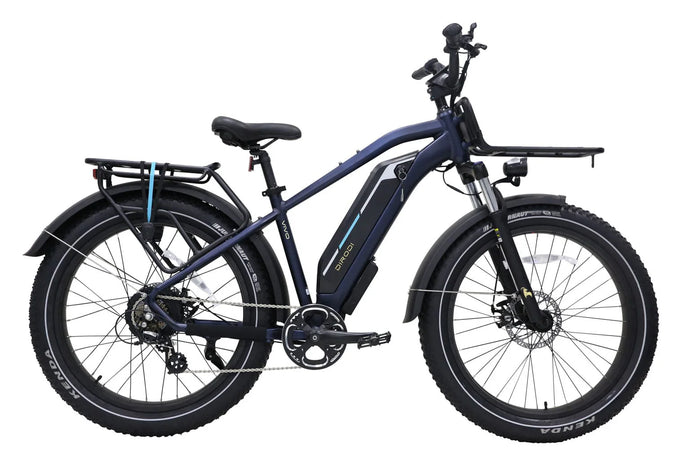 Hi5 eBikes | Affordable eBikes | Combination of Power and Aesthetics – Hi5 ebikes